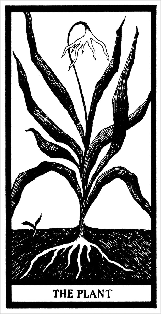 The Fantod Pack by Edward Gorey – Wadsworth Atheneum